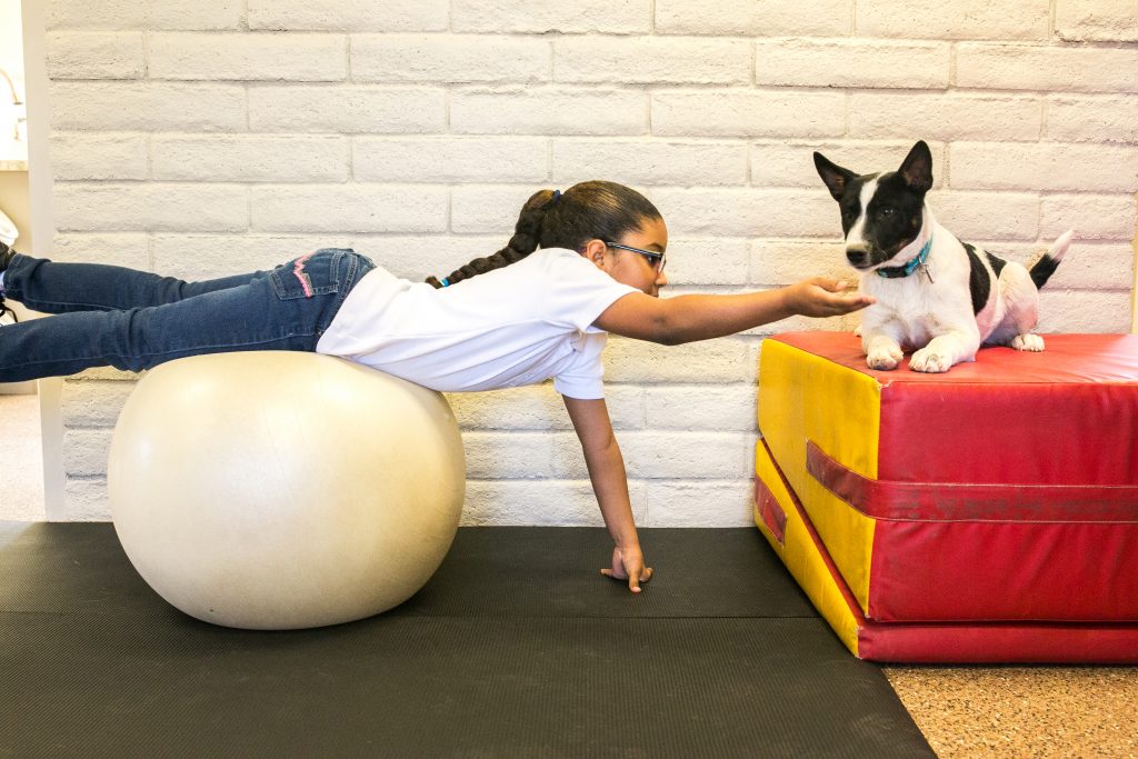 Occupational Therapy & Animal Assisted Therapy For Children & Adults